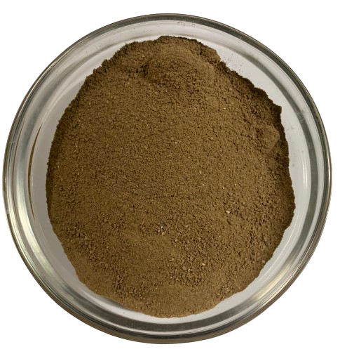 DEAD SEA MUD- POWDER – Handmade Naturals by Corinne