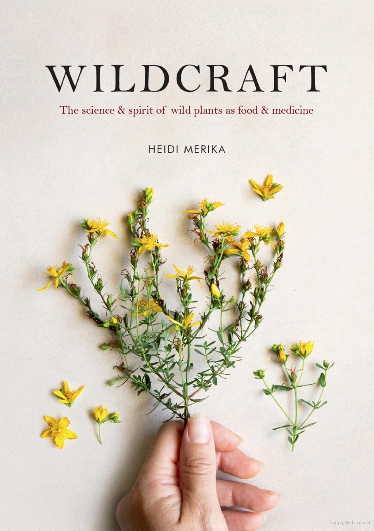 Book- Wildcraft by Heidi Merika – Handmade Naturals by Corinne